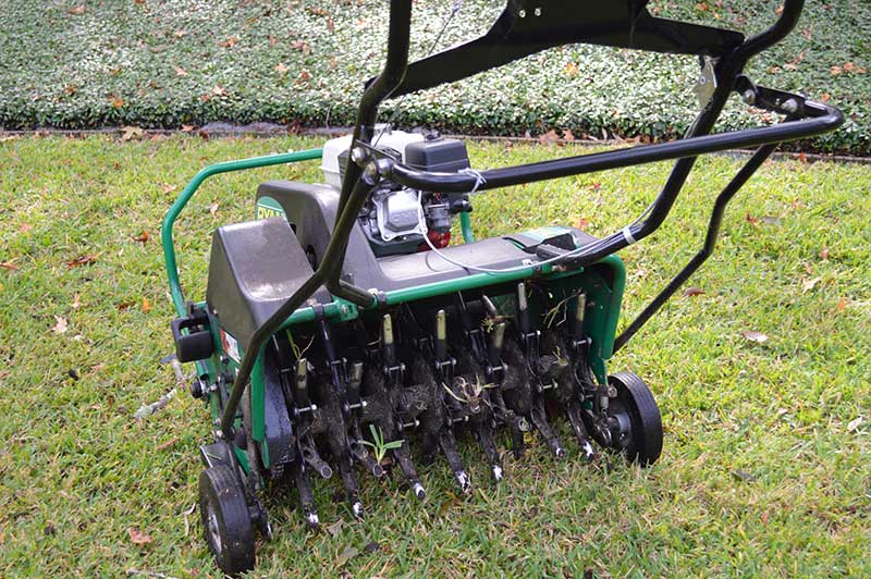 Seasonal Care - Delta Bluegrass Company