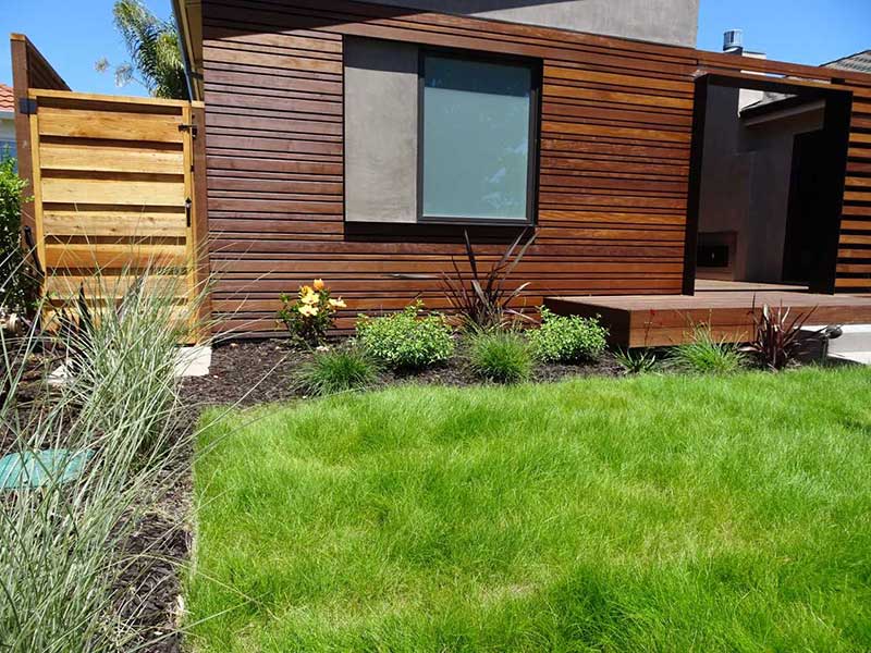 New Sod Care - Delta Bluegrass Company