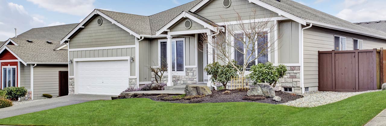 New Sod Care - Delta Bluegrass Company