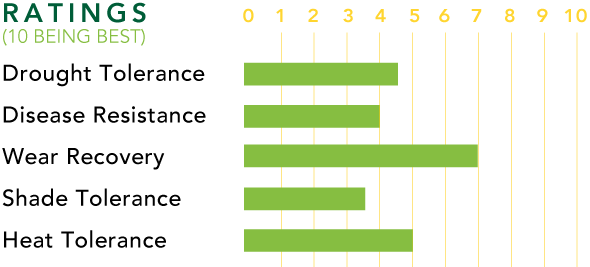 Sod Blends & Varieties - Delta Bluegrass Company